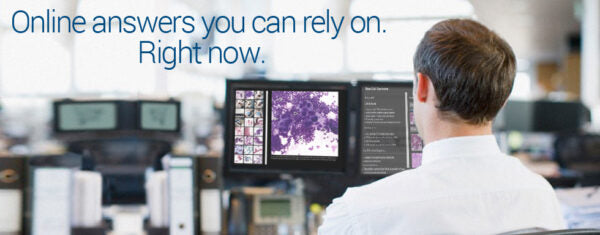 ExpertPath (1-year Subscription) – Ambossle